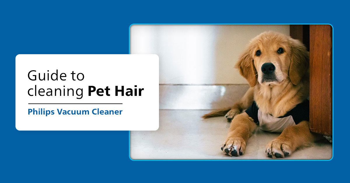 Clean Pet Hair Easily with Philips Dry Vacuum Cleaner